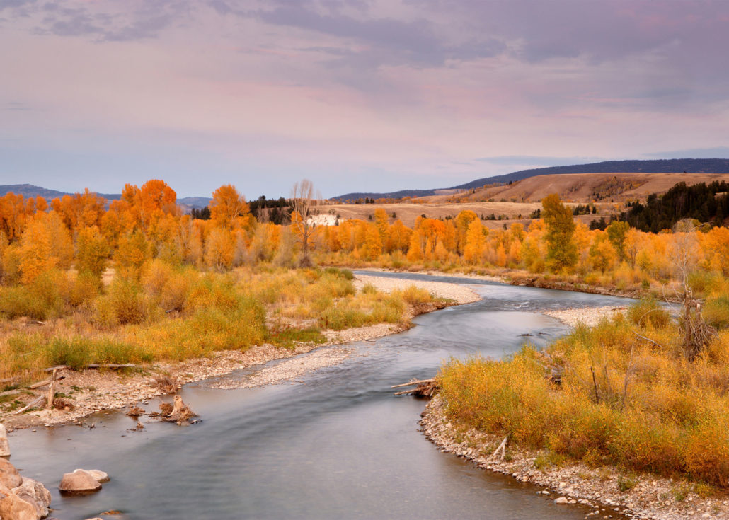 Meet Angler Jason “JB” Balogh, founder of Fish the Fly Guide Service ...